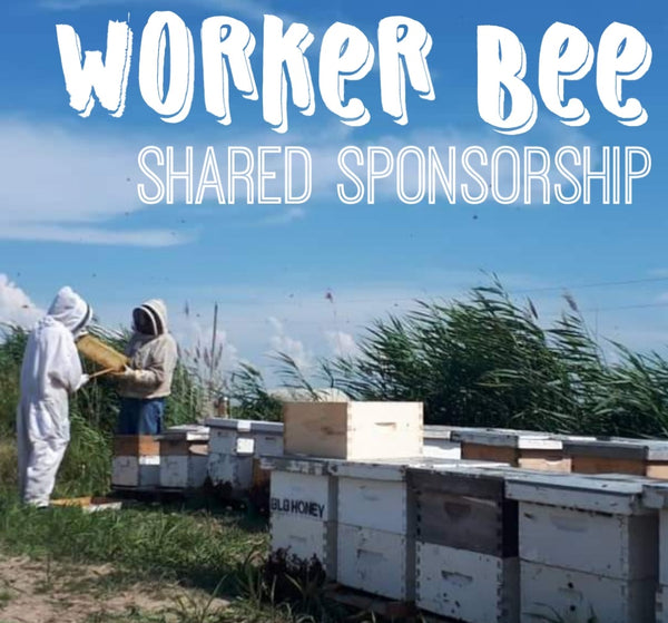 Worker Bee Sponsorship - 2026 – BLB Honey & Beekeeping Supplies